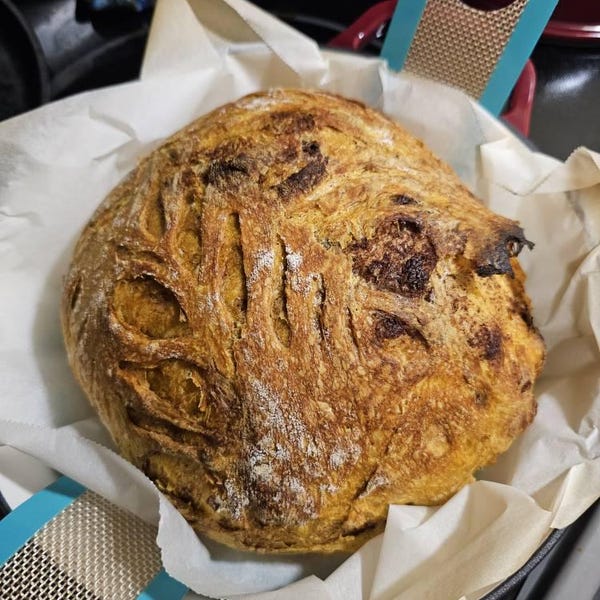 115yr Old Organic French Sourdough Starter - Liquid & Very Active ...