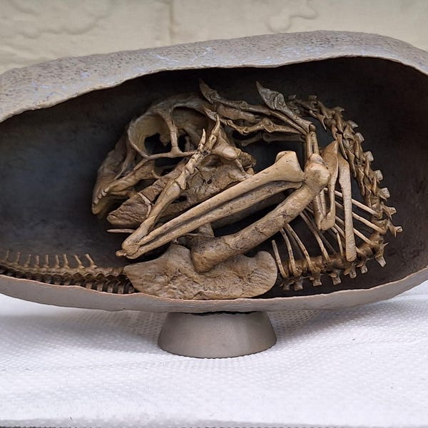 Livyatan Melvillei, Miniature to Scale; Replicas of Extinct Fauna of ...