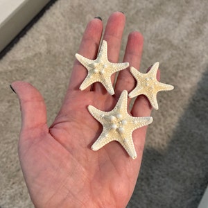 25 Pcs White Bleached Knobby Starfish Decorations Beach Ocean 1-2" - Etsy