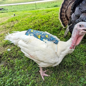 Patriotic Chicken Tutu - Etsy