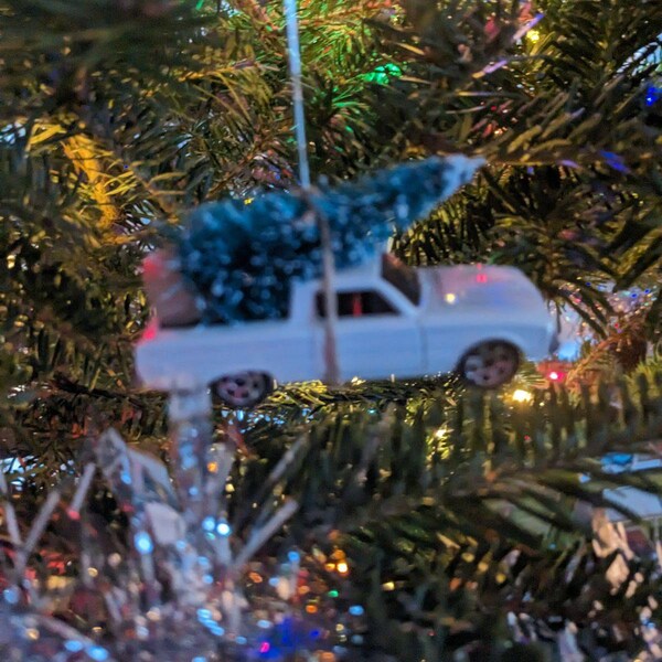 Ford Ranger Raptor Truck Carrying Christmas Tree,2019 Red Ford Ranger ...