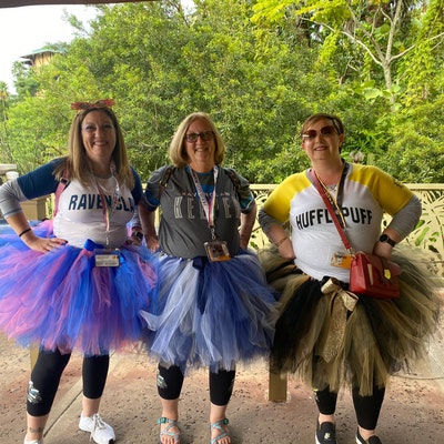 Royal Blue and Shocking Pink Adult Tutu, Maternity Tutu, Adult Tutu ...