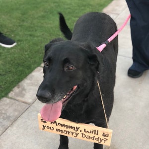 Wooden Dog Engagement Sign, Proposal Sign, Handmade Personalized Dog ...