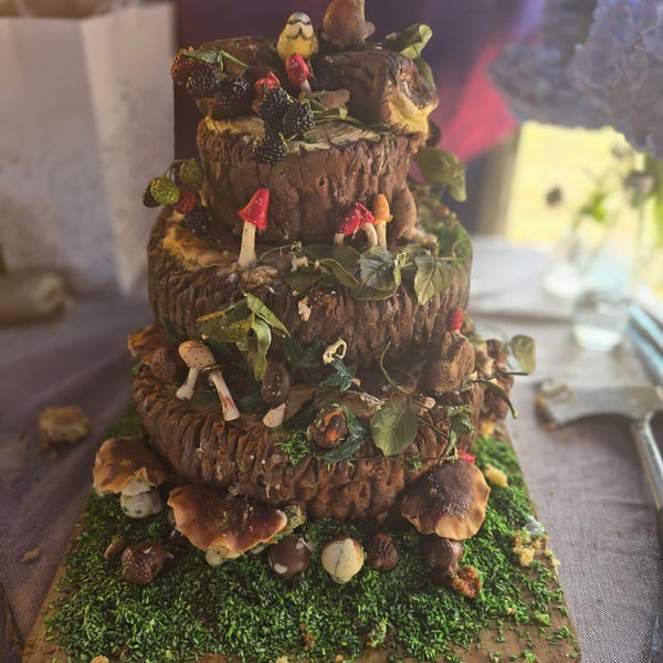 Edible Toadstools/cake Toppers. - Etsy