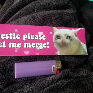 Bestie Please Let Me Merge Funny Gen Z Meme Y2K Pink Aesthetic Bumper ...