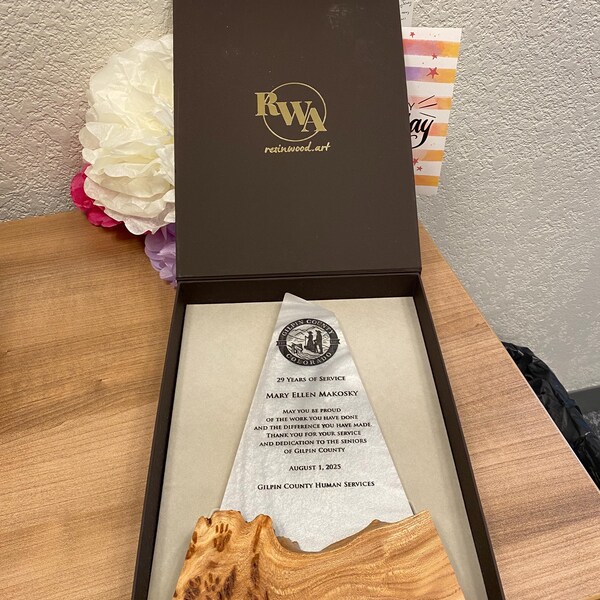 APEX – Custom Modern Award Plaque - Personalised Epoxy & Wood Trophy ...