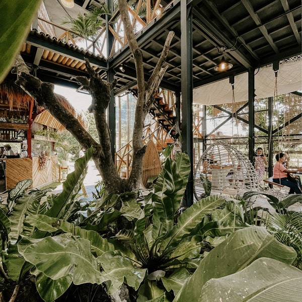 Wedding Film Presets for Lightroom Rich Brown Presets Muted Tones ...