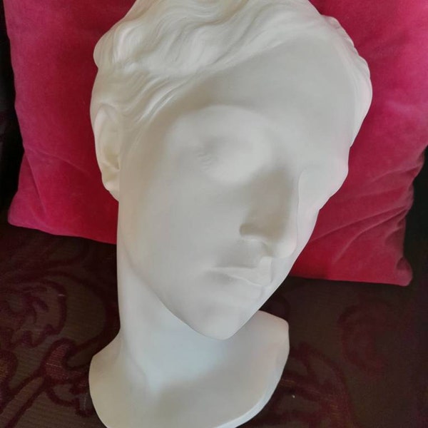 Plaster Cast of Michelangelo's David, Eye Sculpture. Male Sculpture ...