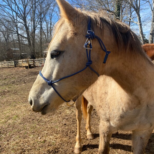 18ft Driving Line Black-horse Rope- Lunge Line-horse Training Lunge ...