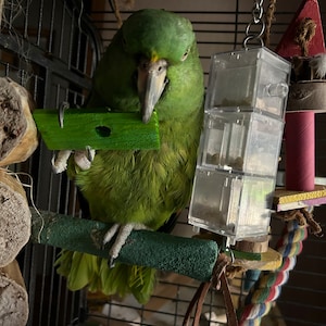 Quirky Corky by Cheep Thrills Bird Toys - Etsy