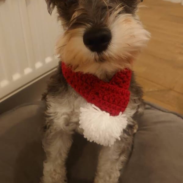 Christmas Dog Scarf With Pompom - Available in 4 Colour Schemes - Santa ...