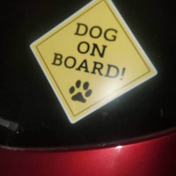 Cat on Board Yellow Caution Sign Car Sticker Vinyl, Satin Finish - Etsy