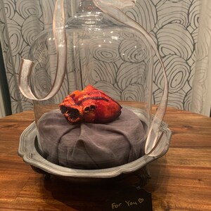 Life Size Human Heart FREE SHIPPING | Etsy