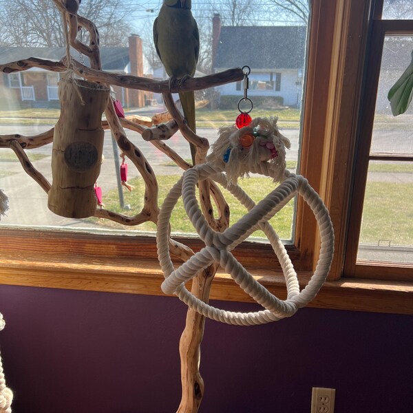 Spaghetti Swing for Small Birds | Small Parrot Swing | Budgies ...