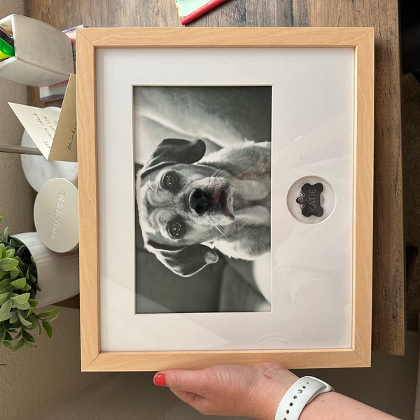 Coin Frame | DIY Frame Kit for Coins | Coin Display | Coin Holder ...