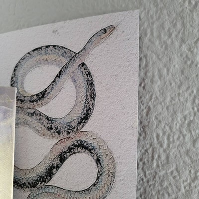 Snake Art Print, Snake Art, Art Print, Wildlife Animal Art, Gift, Snake ...