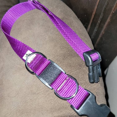 Solid Color BREAKAWAY Safety Dog Goat Pig Sheep Collar Many Colors Any ...