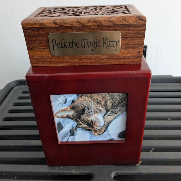 Personalized Funny Cat Metal Name Tag, Custom Laser Engraved Stainless ...