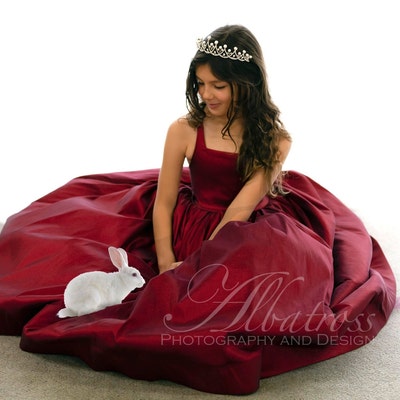 Crowns King Crown Overlay Photoshop Overlays for - Etsy