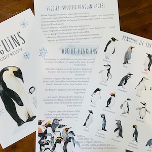 BEE Unit Study, Life Cycle, Anatomy, Nature Study, Science, Homeschool ...