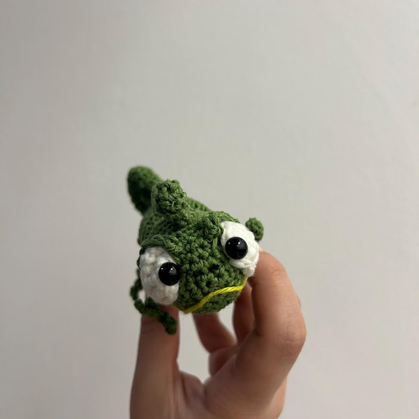 Pascal the Chameleon Crochet Pattern - Etsy