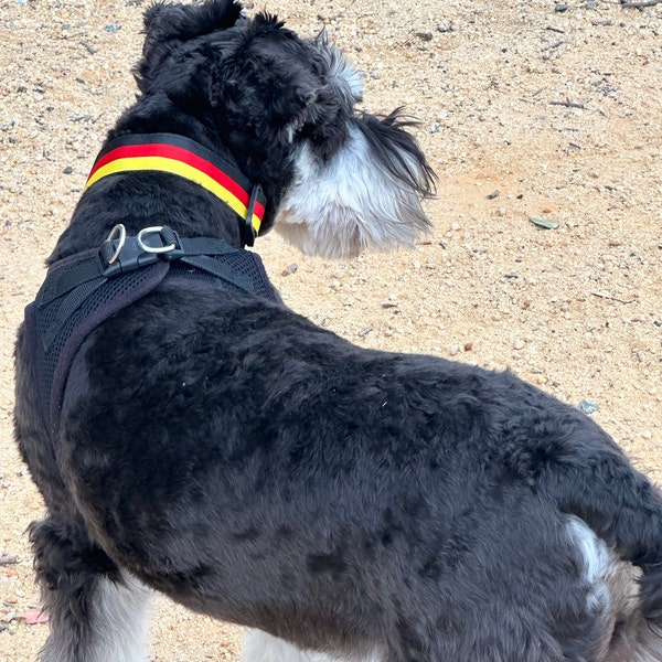 Teenage Mutant Ninja Turtles (TMNT) Print - Small/medium/large ...