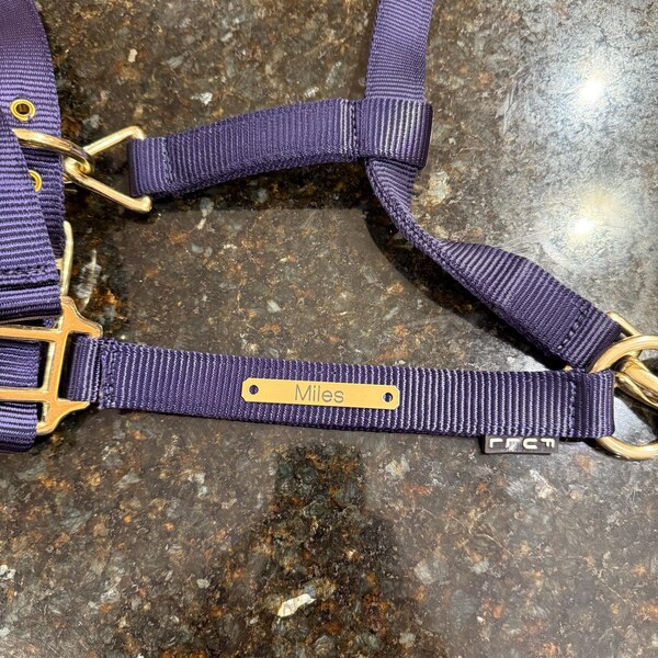 Custom Engraved SILVER Tack, Bridle, Martingale Plate, Horse Tack Plate ...