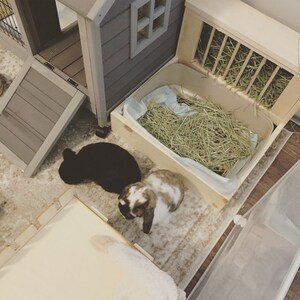 Medium Hop Box: Rabbit Bunny Hay Feeder and Litter Pan Combo - Etsy