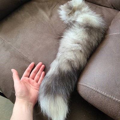 Eco Friendly Blue Fox Tails - Etsy