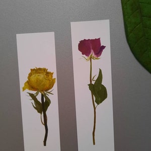 Red Rose Bookmark Dried Rose Bookmark Flower Bookmark Book Lover Gifts ...