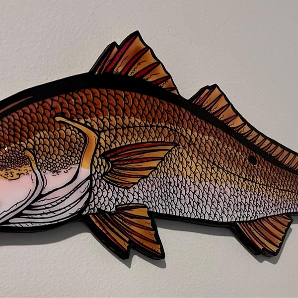 Redfish Art, Red Drum, Bull Red - Etsy