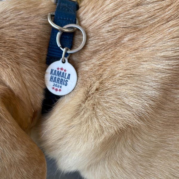 Spin Bike Birthday Card, Spin Class Lover Card, Spin Class Gift, Spin ...