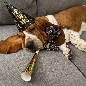 Toads and Mushrooms, toadally Fungi Cream Velvet, Forest, Reversible ...