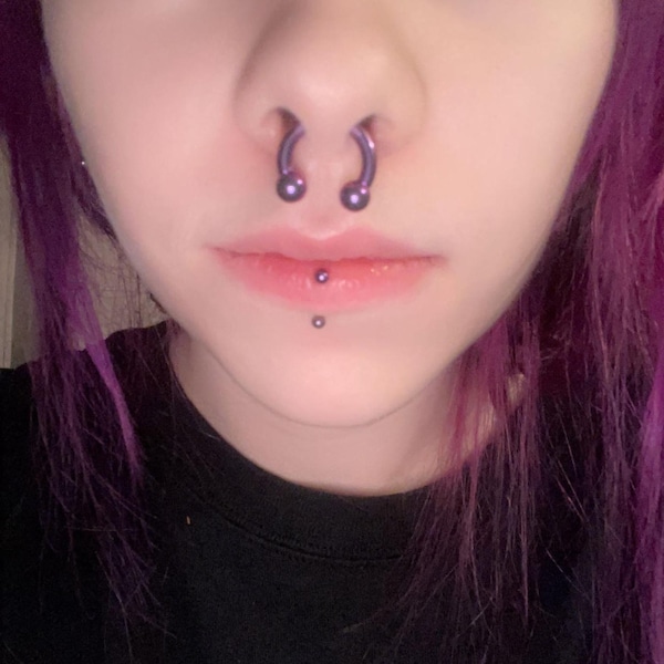 Half DARK PURPLE / SILVER (4G, 5G, 6G, 7G, 8G, 10G, or 12G) Anodized ...