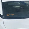 Chicken Family Car Window Decal Chicken Family Decal | Chicken Decal ...