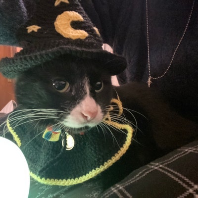Wizard Pet Costume, Wizard Costume for Cat, Halloween Cat Hat, Wizard ...