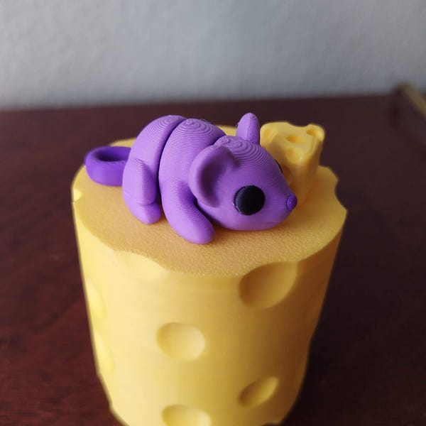 Tiny Mouse Fidget Toy With Optional Cheese Container Stress Relief Toy ...