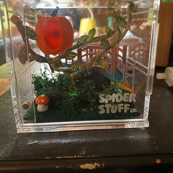Disco Boho Garden Jumping Spider Enclosure Mini Spider Terrarium, Vintage-inspired Acrylic ...