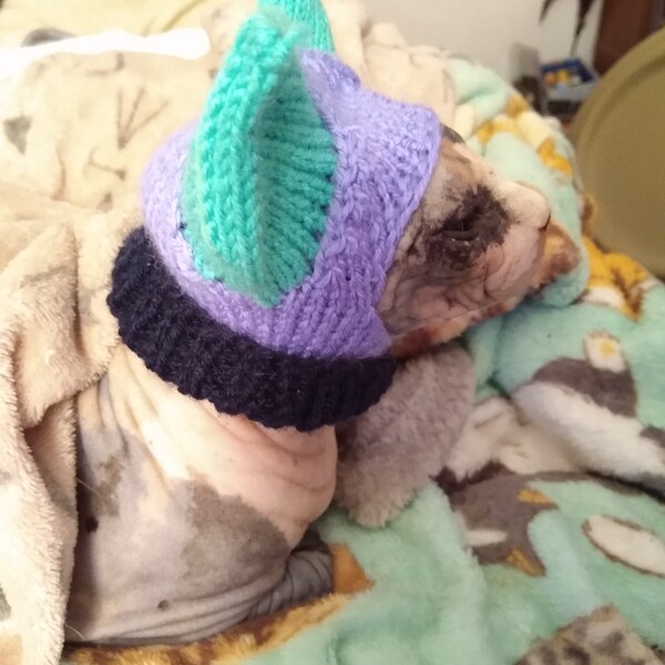 Handmade Cat Hat With Ear Covers: Sphynx Winter Wear - Etsy