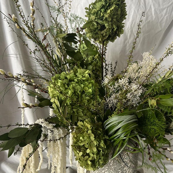 Limelight Hydrangea Basil Green, Preserved Hydrangea 3 Stem Bunch ...