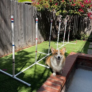 Dog Agility Equipment Training Bar Jump FREE US Shipping - Etsy