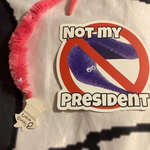 Worm on a String Meme Sticker || Funny Meme, Squirmle, Fuzzy Worm - Etsy