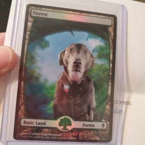 Personalized Pet Magic the Gathering Foil Land - Etsy