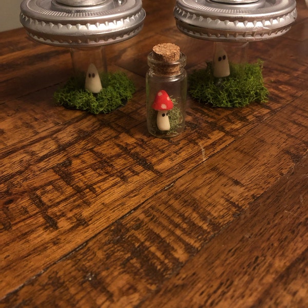 Spirit Jars With Glow in the Dark Spirit Ghost Choose Your Spirit Shown ...