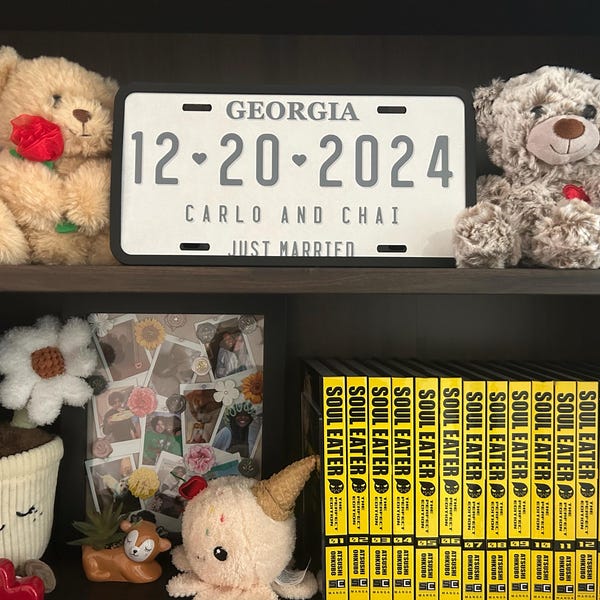 Wedding License Plate - Just Married Mr and Mrs - Wedding Car License ...