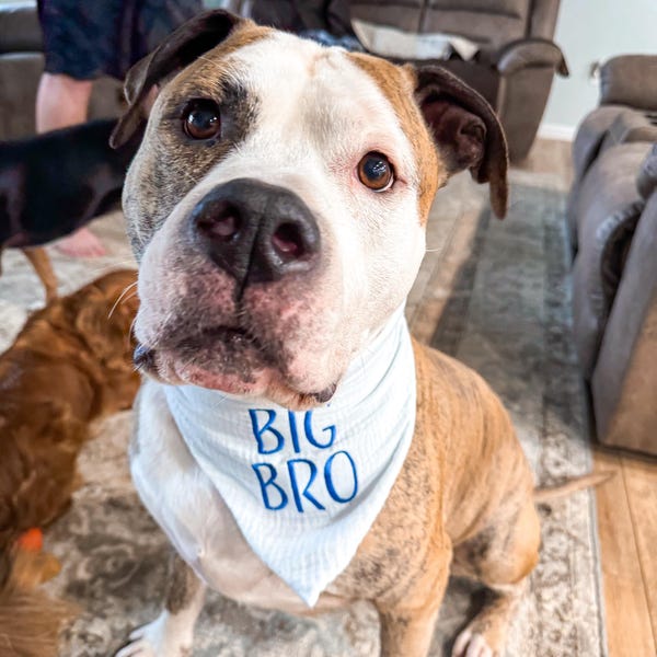 Hoco Custom Embroidered Bouquet Wrap Sash Bow Prom Bouquet Sash With ...