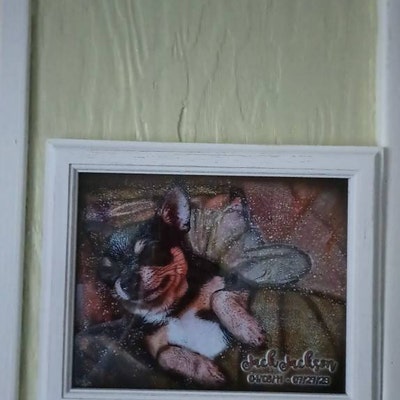 Pit Bull Pitbull Angel Wings Pitty Amstaff Angel Pet Memorial Rainbow ...