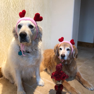 Valentines Day Hearts for Dogs, Heart Headband / Hat for Large Dogs ...