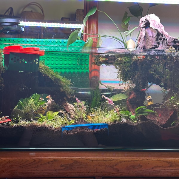 Shrimp Cave Hideout Aquarium Shrimp Hide Tunnel Fish Tank Cave for ...