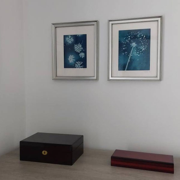 Cyanolumen Ammi Visnaga Botanical Original Art 12x10 Mounted - Etsy